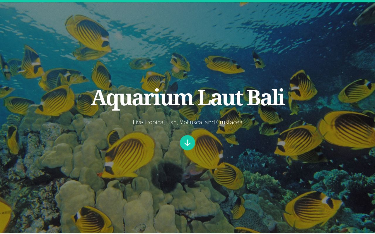 Akuarium Laut Bali